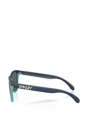 Oakley Frogskins Range Sunglasses