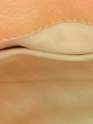 Chloé Small Elsie Crossbody Bag