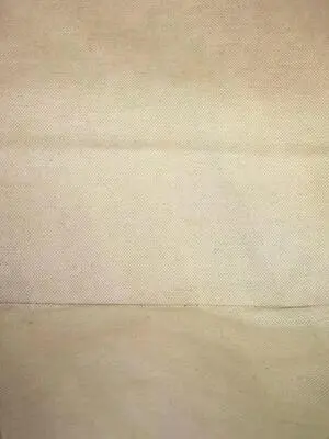 Gucci Gg Canvas Bella Tote Bag