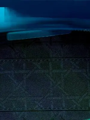 Dior Lady Satchel