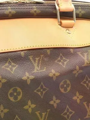 LOUIS VUITTON Alizé En Poche Monogram Boston Bag