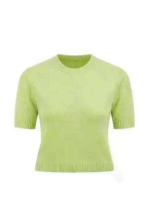 Autumn Cashmere Short Sleeve Crew Neck Sweater - Green