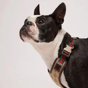 Gucci Gg Canvas Pet Harness