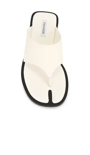 Steve Madden Illia Thong Sandal - Bone