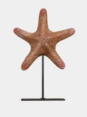 ONE OF A KIND Yellow Jungle Sea Star - Orange
