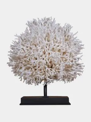 ONE OF A KIND Seriatopora Hystrix Bird's Nest Coral On Handmade Brass Base - White