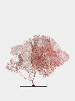 ONE OF A KIND Gorgonian Tall Sea Fan With Brass Stand - Red