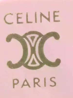 Celine Triomphe Hair Clip