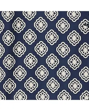 Max Mara Printed Cotton Shirt Dress