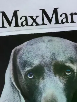 Max Mara Photographic Print T-shirt