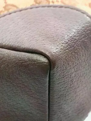 Gucci Gg Canvas Crossbody Bag