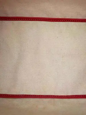 Goyard Saint Louis Pm Tote Bag