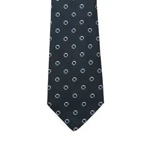Canali Pointed Neck Tie - Black