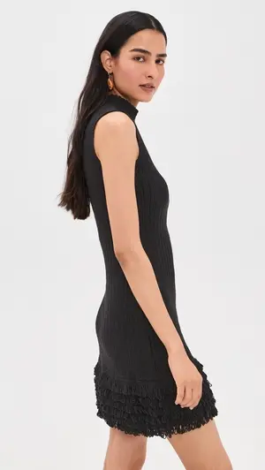 DE LORETA Safiro Ribbed Knit Mini Dress With Fringe
