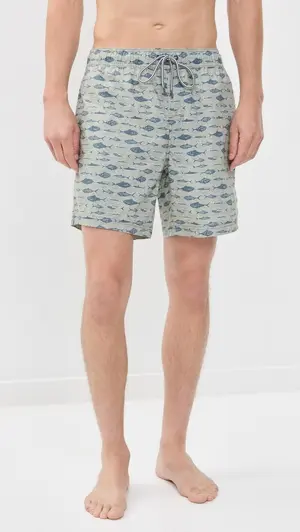 Rails Dane Swim Shorts 7