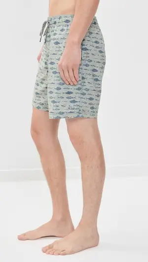 Rails Dane Swim Shorts 7