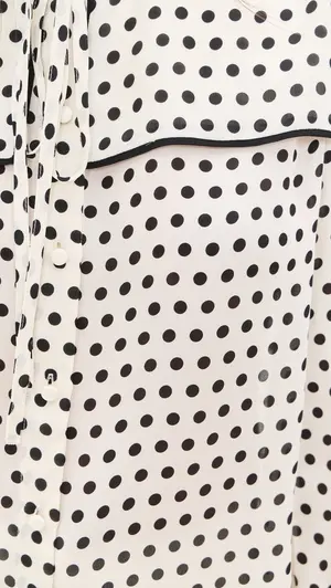 FRAME Polka Dot Silk Blouse
