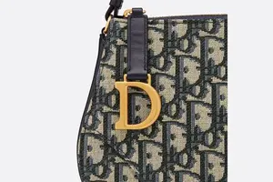 Dior Saddle Pouch