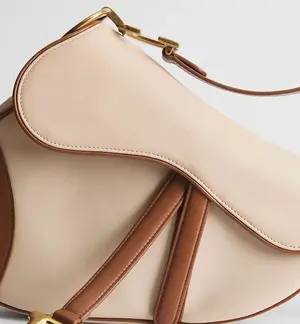 Dior Saddle Bag - Nude