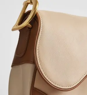 Dior Saddle Bag - Nude