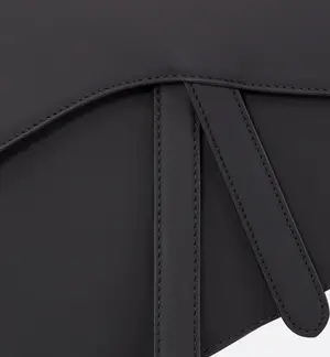 Dior Saddle Bag With Strap