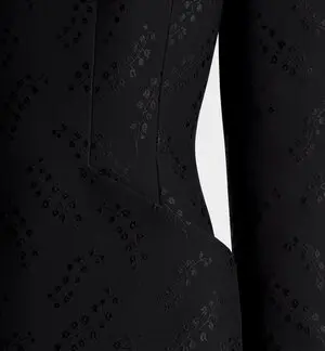 Dior Fitted Jacket With Shawl Collar