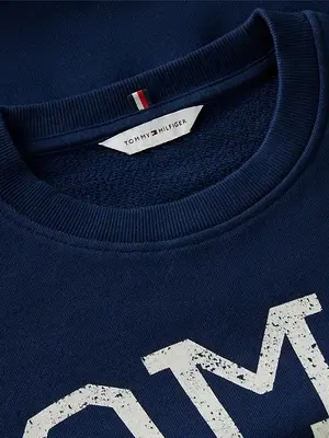 Tommy Hilfiger Crest Logo Print Drawstring Hem Sweatshirt