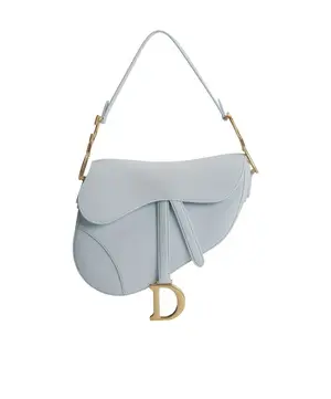 Dior Saddle Bag With Strap - Ice-blue