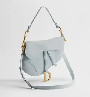 Dior Saddle Bag With Strap