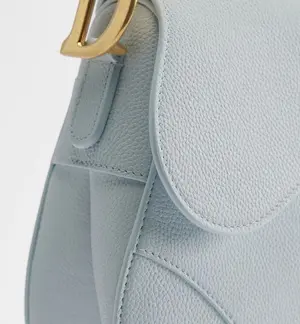 Dior Saddle Bag With Strap