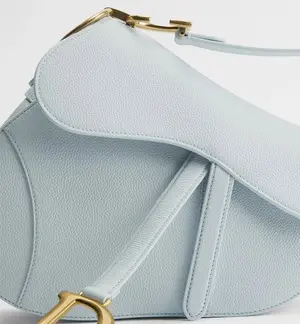 Dior Saddle Bag With Strap