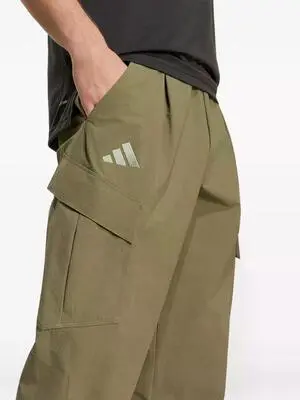Adidas Terrex Xploric Cargo Pants