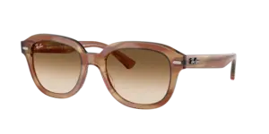 Ray-ban Sunglass Erik Clear Gradient Brown