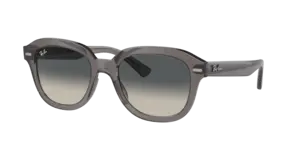 Ray-ban Sunglass Erik Grey
