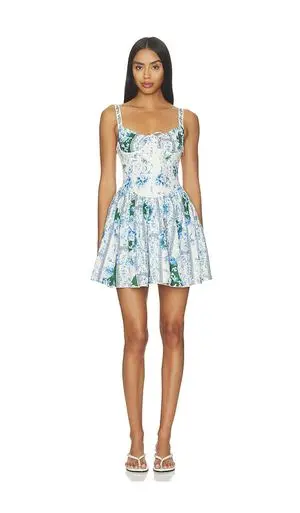 Agua Bendita Spring Ivy Dress - Multicolor