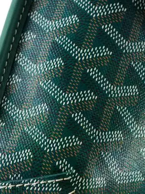 Goyard Coursier Messenger Bag In Coated Canvas And Leather - Green