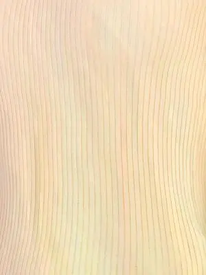 Peserico Ribbed Knit V-neck Sleeveless Top