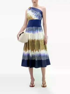 Silvia Tcherassi Catalina Abstract One-shoulder Midi Dress