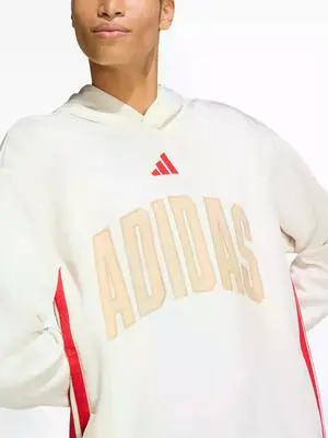Adidas Stadium Graphic Hoodie