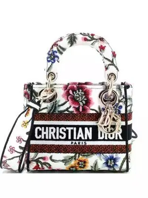 Dior Lady D-lite Bag - Multicolour