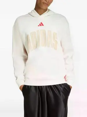 Adidas Stadium Graphic Hoodie