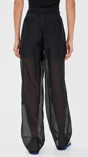 Rag & Bone Atlas Organza Wide Leg Pants