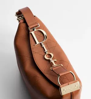 Dior Medium Hobo Bag