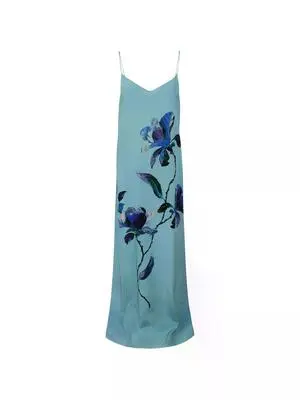 Ermanno Scervino Floral Print Maxi Dress - Blue