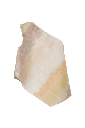 Issey Miyake Pleated Top