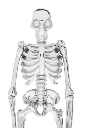 Alexander McQueen Brooch With A Skeleton Motif