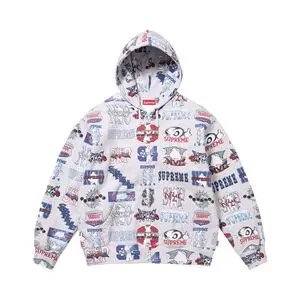 Supreme Flash Zip Up Hooded Sweatshirt 'ash - Grey
