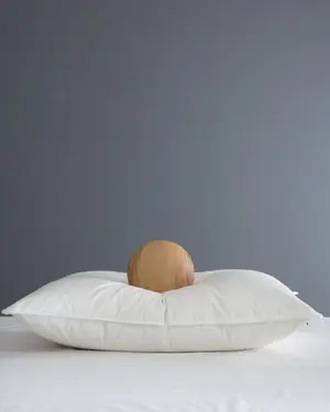 Quince Premium Down Alternative Pillow - Soft