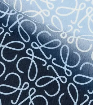 Loewe Wool-silk-cashmere Anagram Scarf - Blue