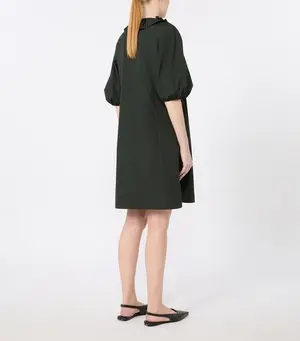 Max Mara Ruffled Mini Dress With Embellishments